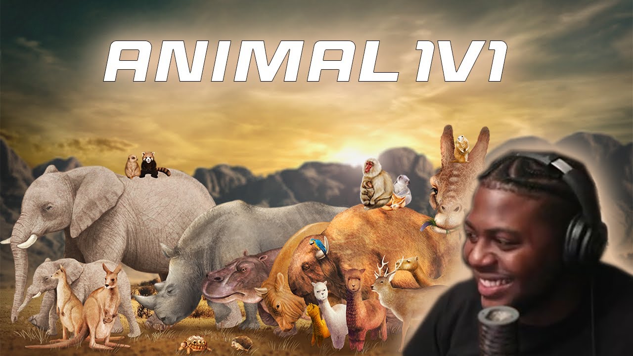 Hilarious 1v1 Battles in the Animal Kingdom! Tier list - YouTube