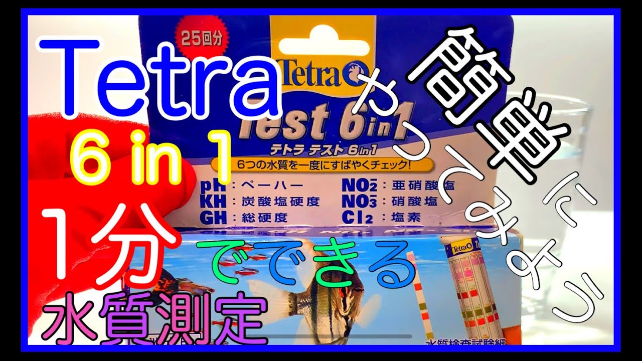 1分で出来る⁉️簡単な水質測定。 "Tetra 6 in 1"使い方。解説。テトラ6in1 - YouTube