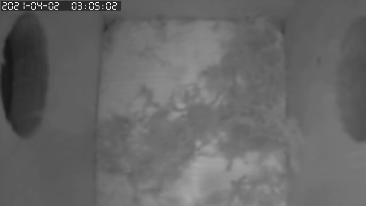 Elvetham Heath Primary School Live Stream - YouTube