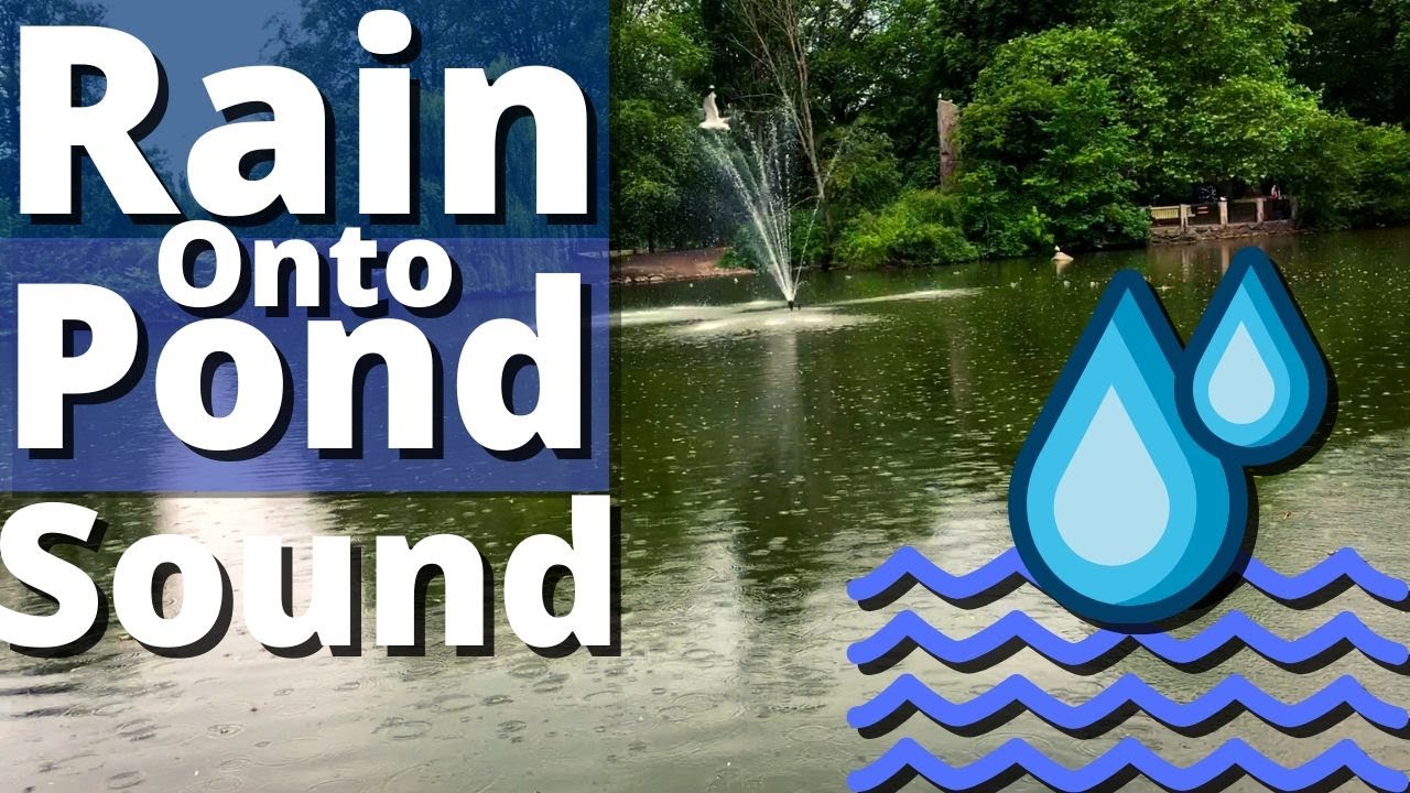 30 Minutes of Rain onto Pond Sound White Noise - Meditate, Work ...