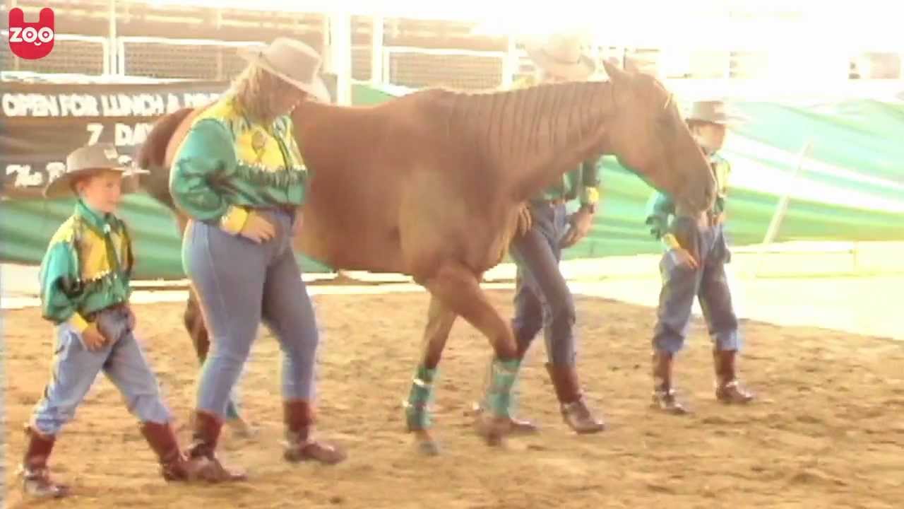 Line Dancing Horse in Australia - YouTube