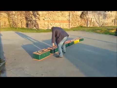 posta güvercin yarışları 2018 sarayburnu antremanı.