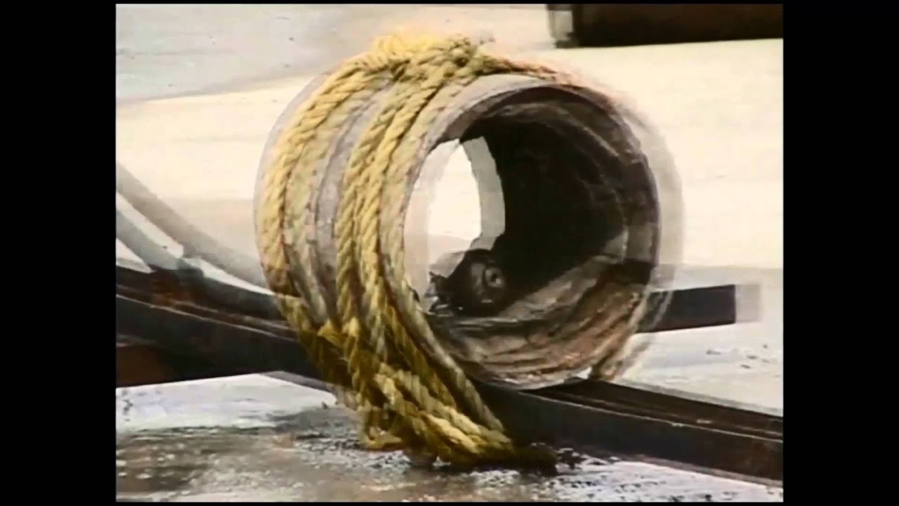 Pipetech Aqua Milling & Aqua Sonic - YouTube