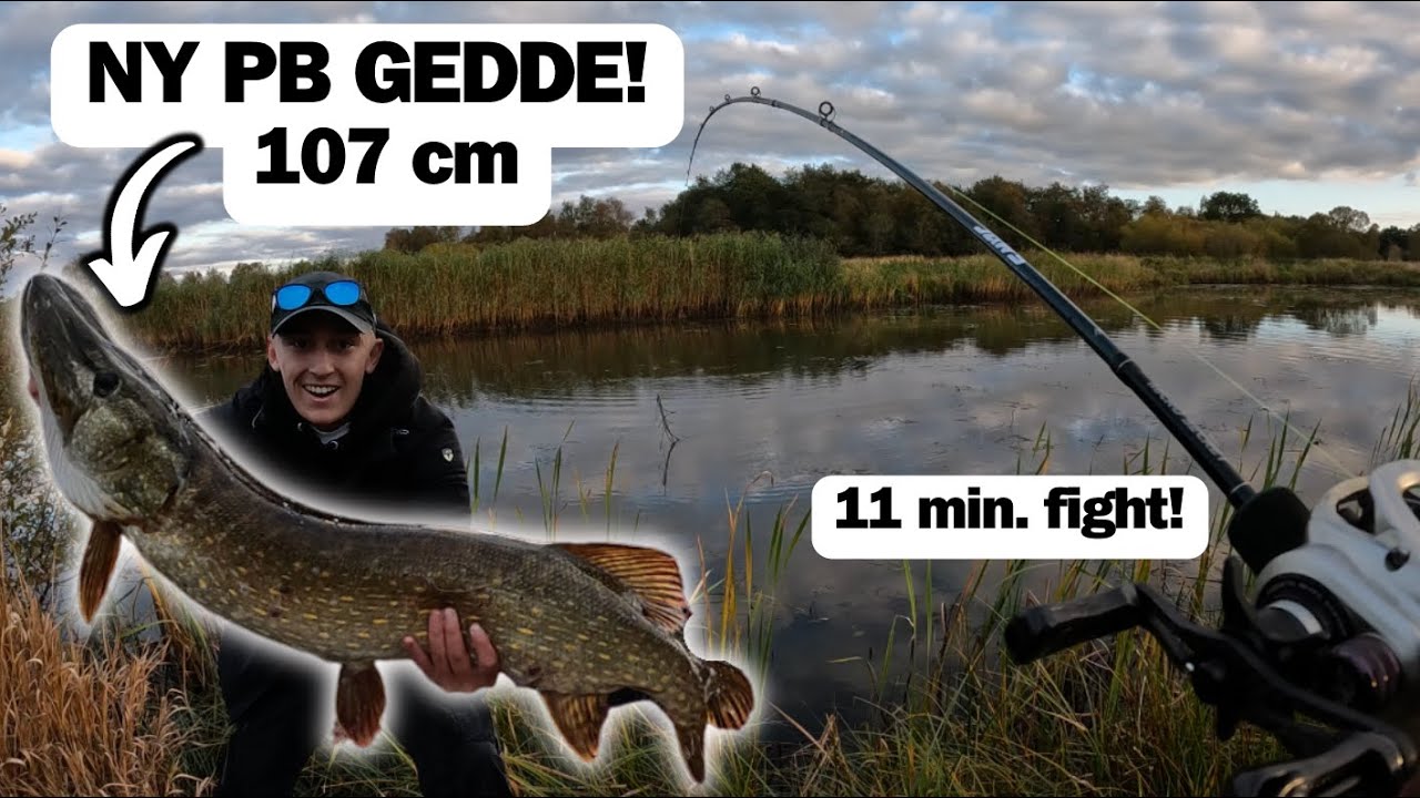 Troede aldrig jeg skulle fange så STOR en gedde på så let grej! - YouTube