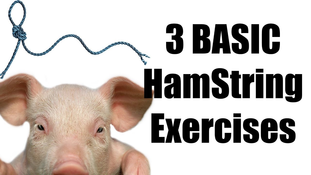 Stronger Hamstrings | 3 BASIC exercises - YouTube
