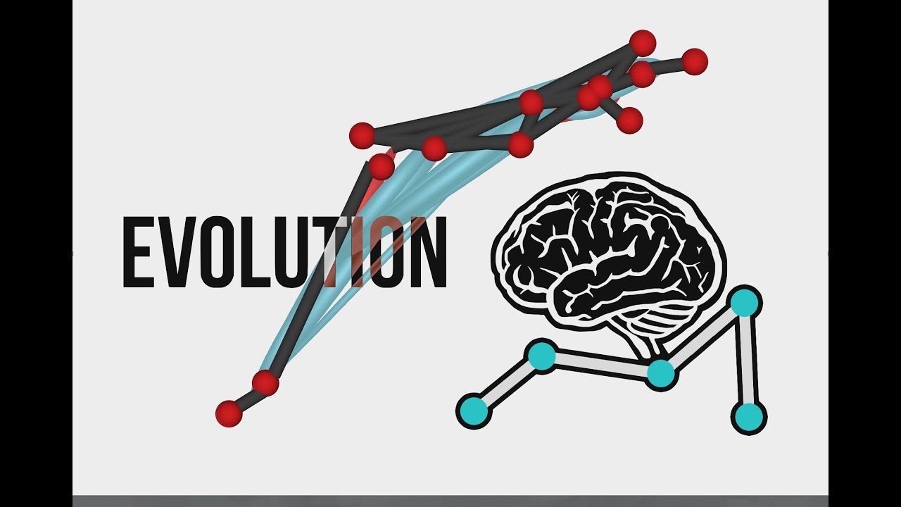 EVOLUTION | Best creature EVER!! - YouTube