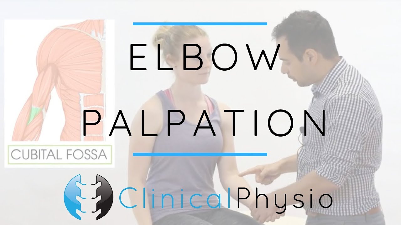 Elbow Palpation | Clinical Physio Premium - YouTube
