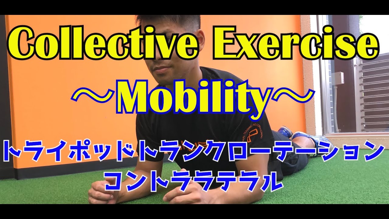 【四つ這いでローテーション】トライポッド・トランクローテーション・コントララテラル（Tripod Trunk Rotation ...