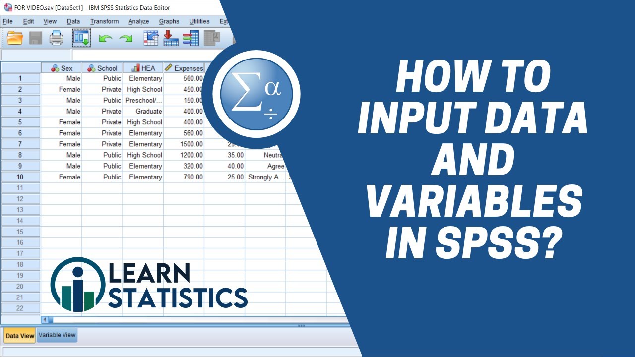 How to Input Data and Variables in SPSS? | iLearn Statistics - YouTube