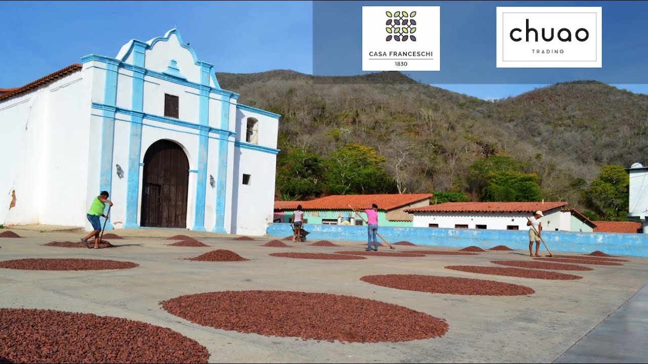 Authentic "Chuao" cacao beans are arriving to the North American Market ...