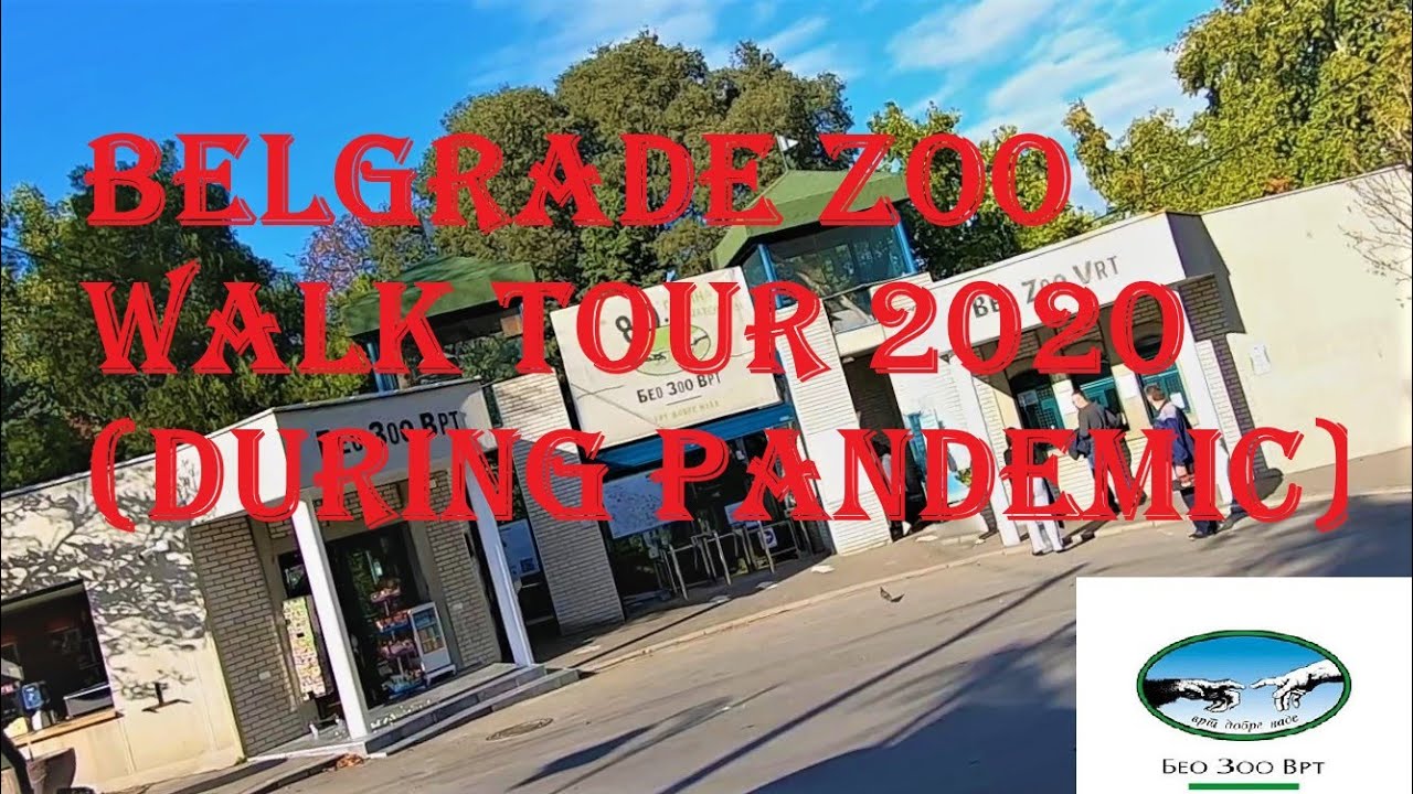 BELGRADE ZOO | Walking Tour | Beograd | Serbia - YouTube