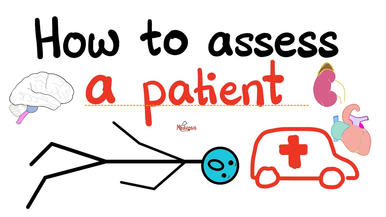 How to Assess the Patient In an Emergency - Patient Assessment ...