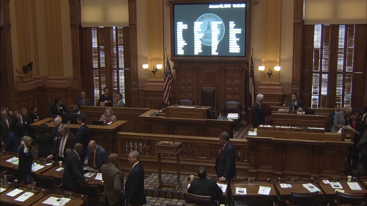 Georgia Senate, Day 1 - YouTube