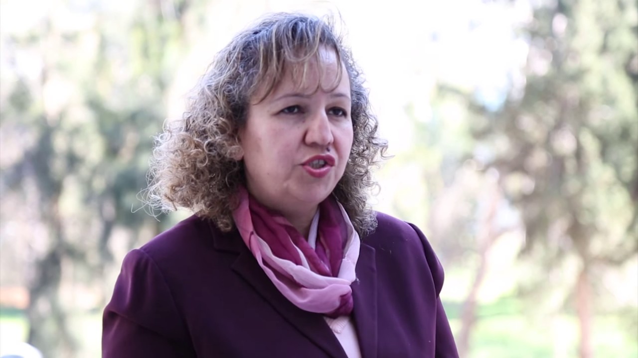 Dr Safa Nasser Eldin 2014 Youth Award Jury Member - YouTube