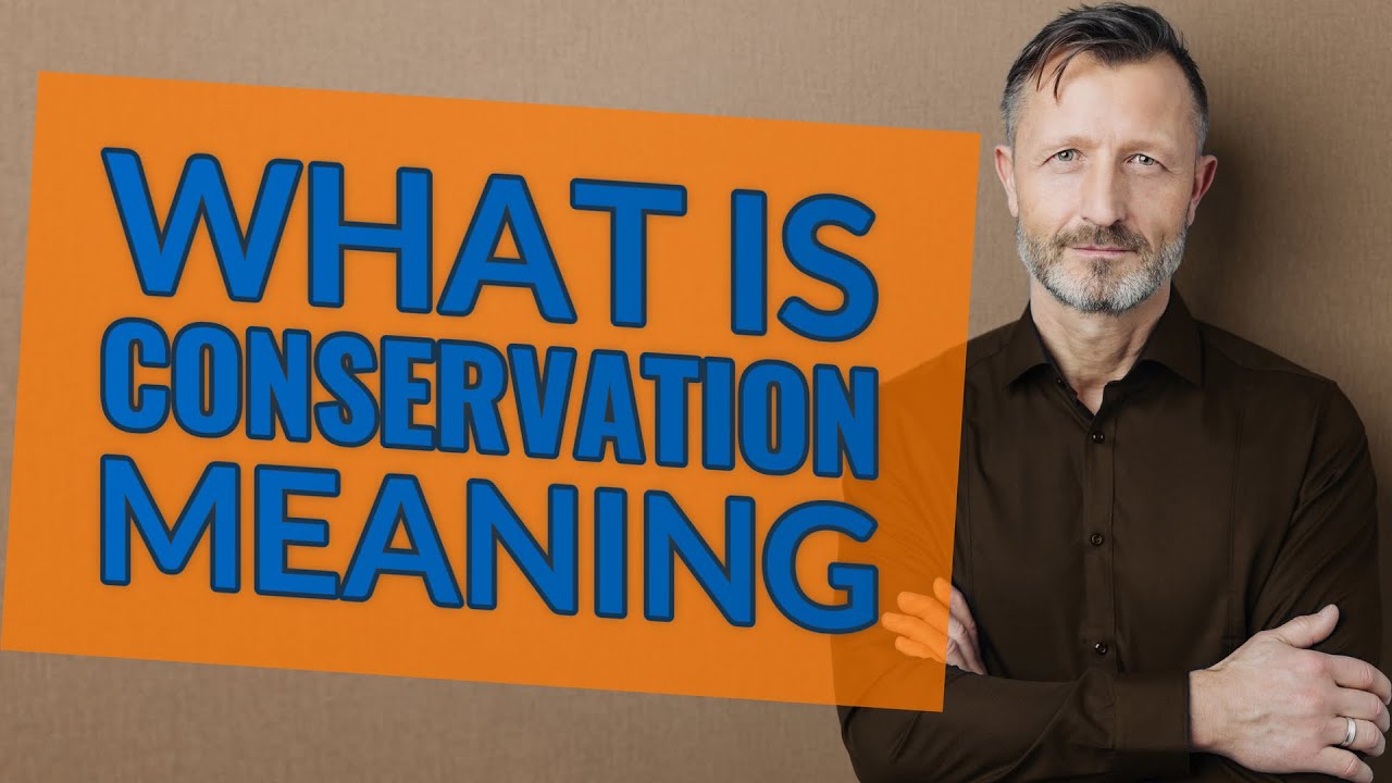 Conservation | Definition of conservation 📖 - YouTube