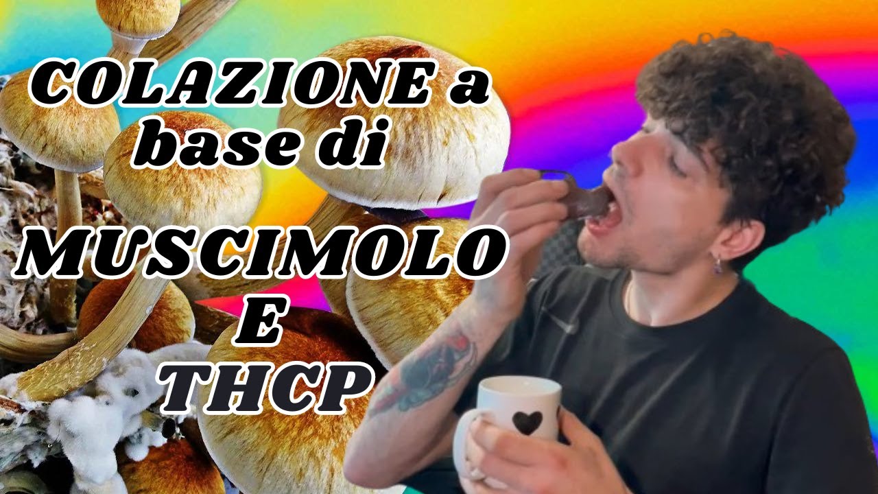 COLAZIONE a base di THCP e MUSCIMOLO (per poco non ci rimanevo) - YouTube