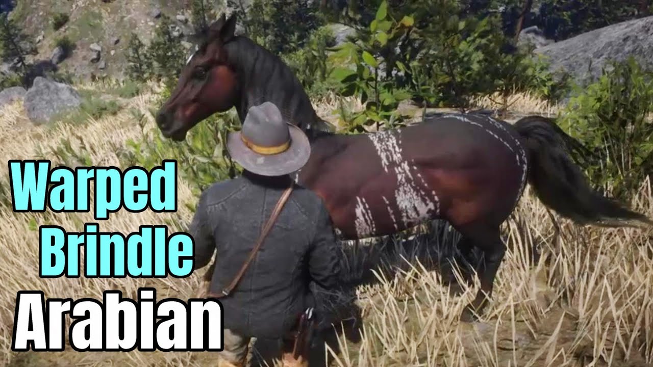 Warped Brindle Arabian Location : Red Dead Redemption 2 - YouTube