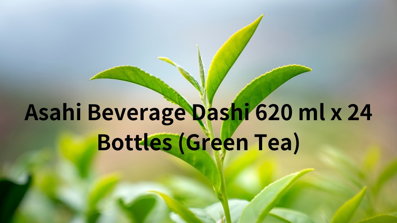 Asahi Beverage Dashi 620 ml x 24 Bottles (Green Tea) - YouTube