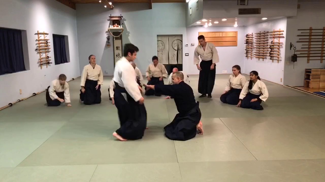 Aikido: Micro-Drilling Ikkyo and Nikyo Te-Sabaki - YouTube
