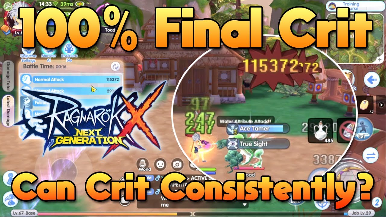 100% Final Critical Enough For Consistent Critical Hits? [ROX] - YouTube