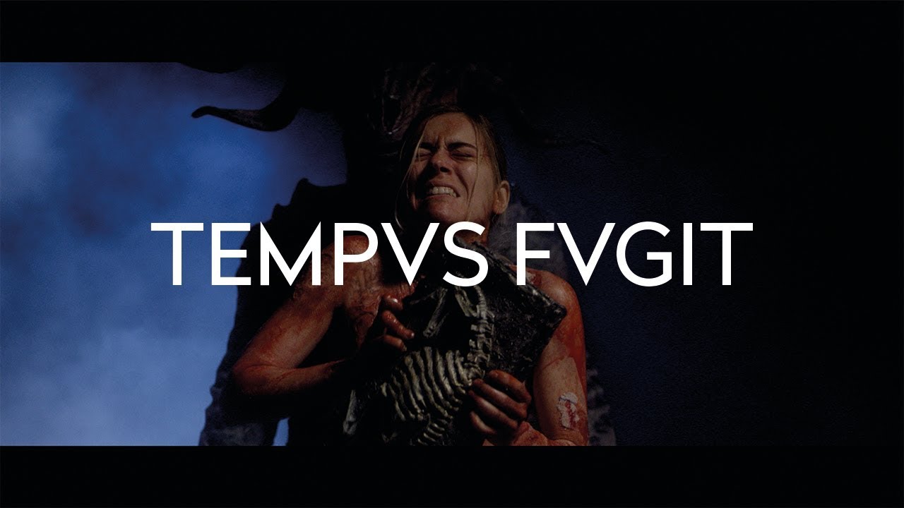 LE 5e CAVALIER - EPISODE 9 : TEMPVS FVGIT - Série Fantastique - YouTube