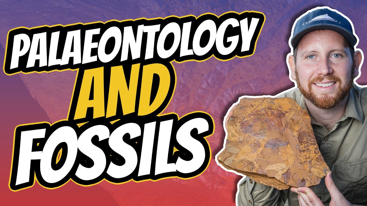 Interview: Digging into Palaeontology and Fossils with Dr Matthew ...