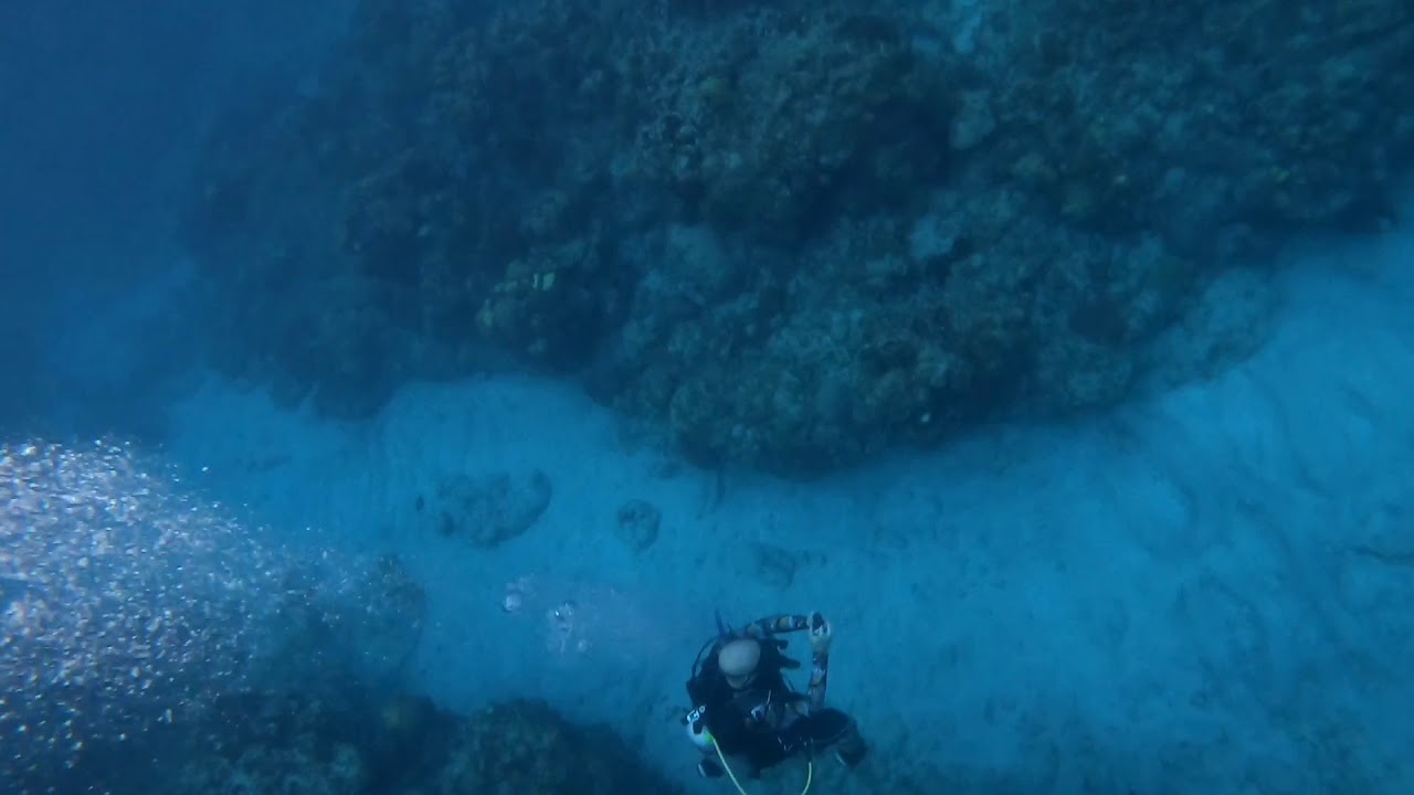 Dive 04-Mar-2020 (4) - YouTube