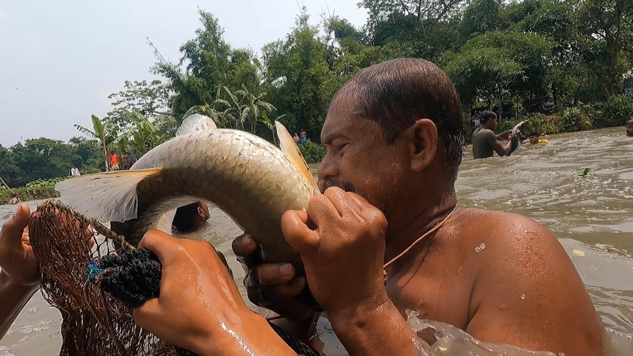 Catching Big Fish In Traditional Fishing Competition In Pond | Amazing ...