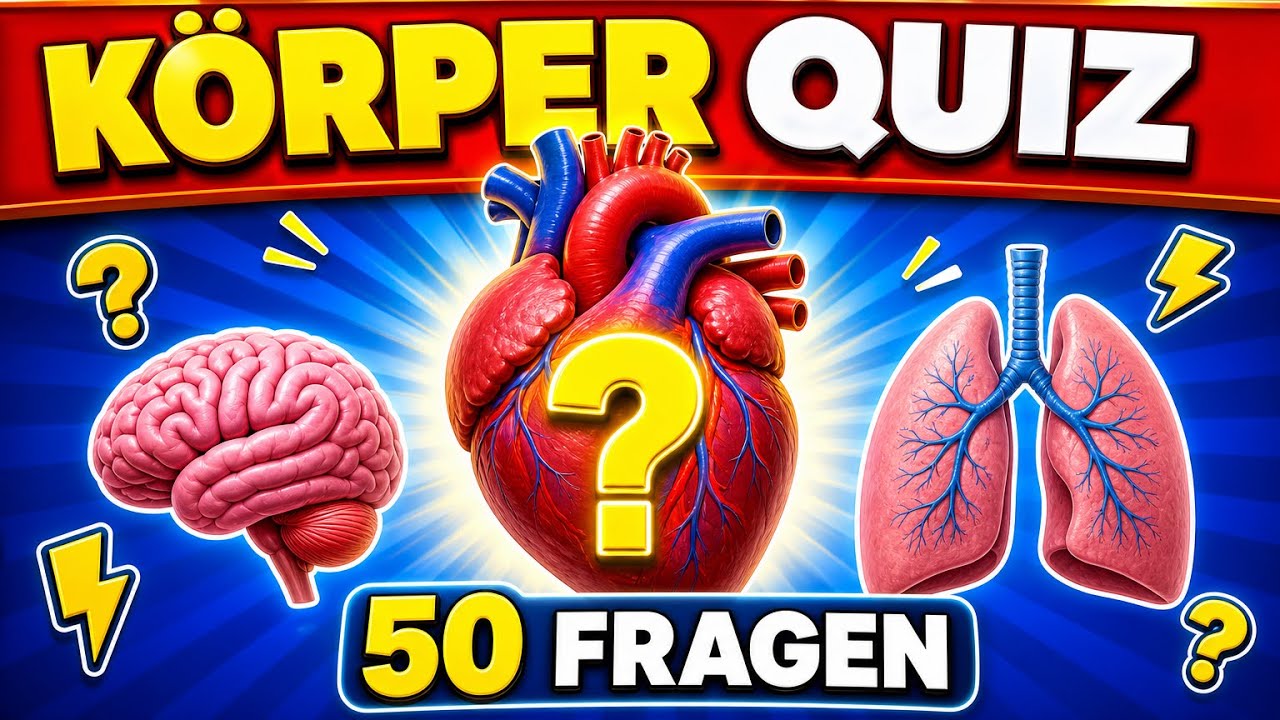 Menschlicher Körper Quiz: Schaffst du 50/50? 🧠 - YouTube