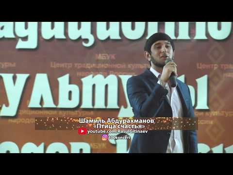29 Шамиль Абдурахманов – «Птица счастья»