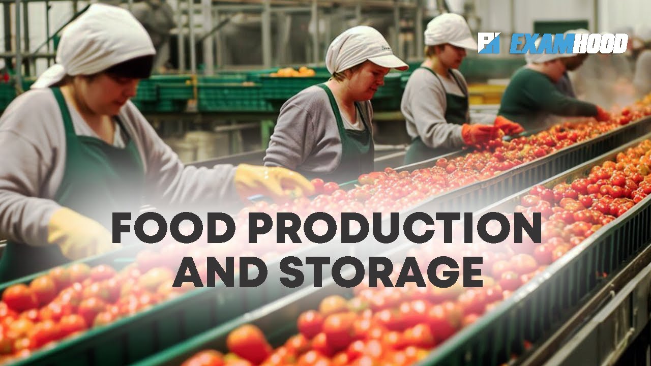 FOOD PRODUCTION AND STORAGE - YouTube