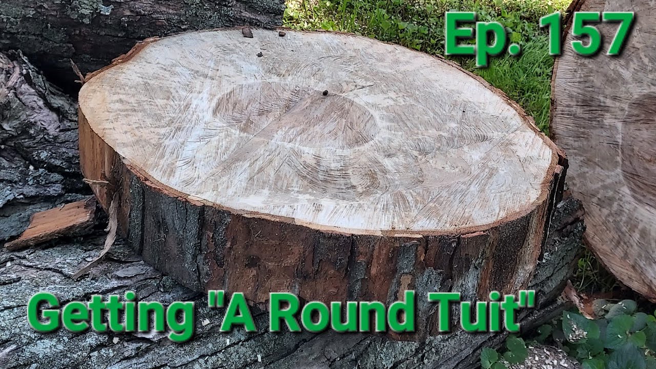Ep. 157: Finally Gettin' ... What? | #maple #walnut - YouTube