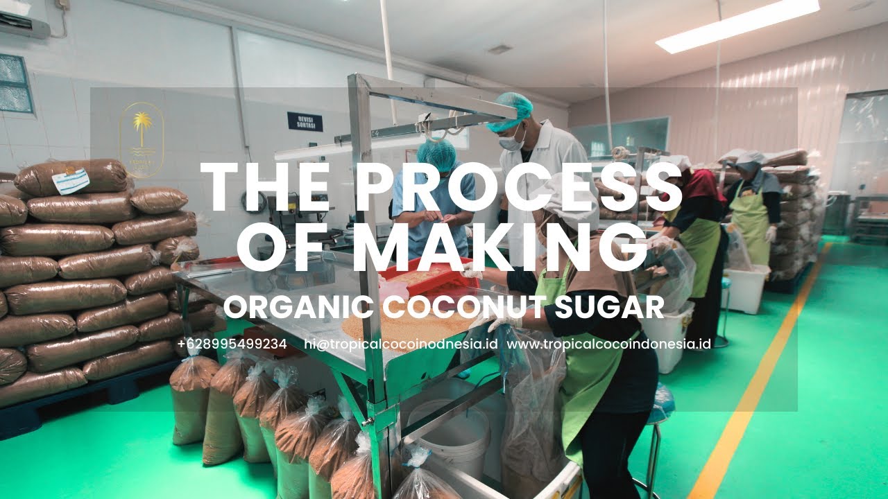 Tropical Coco Indonesia Organic Coconut Sugar Making - YouTube