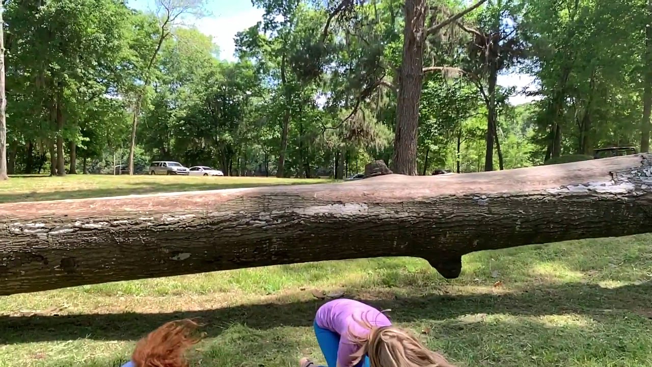 log jumping - YouTube