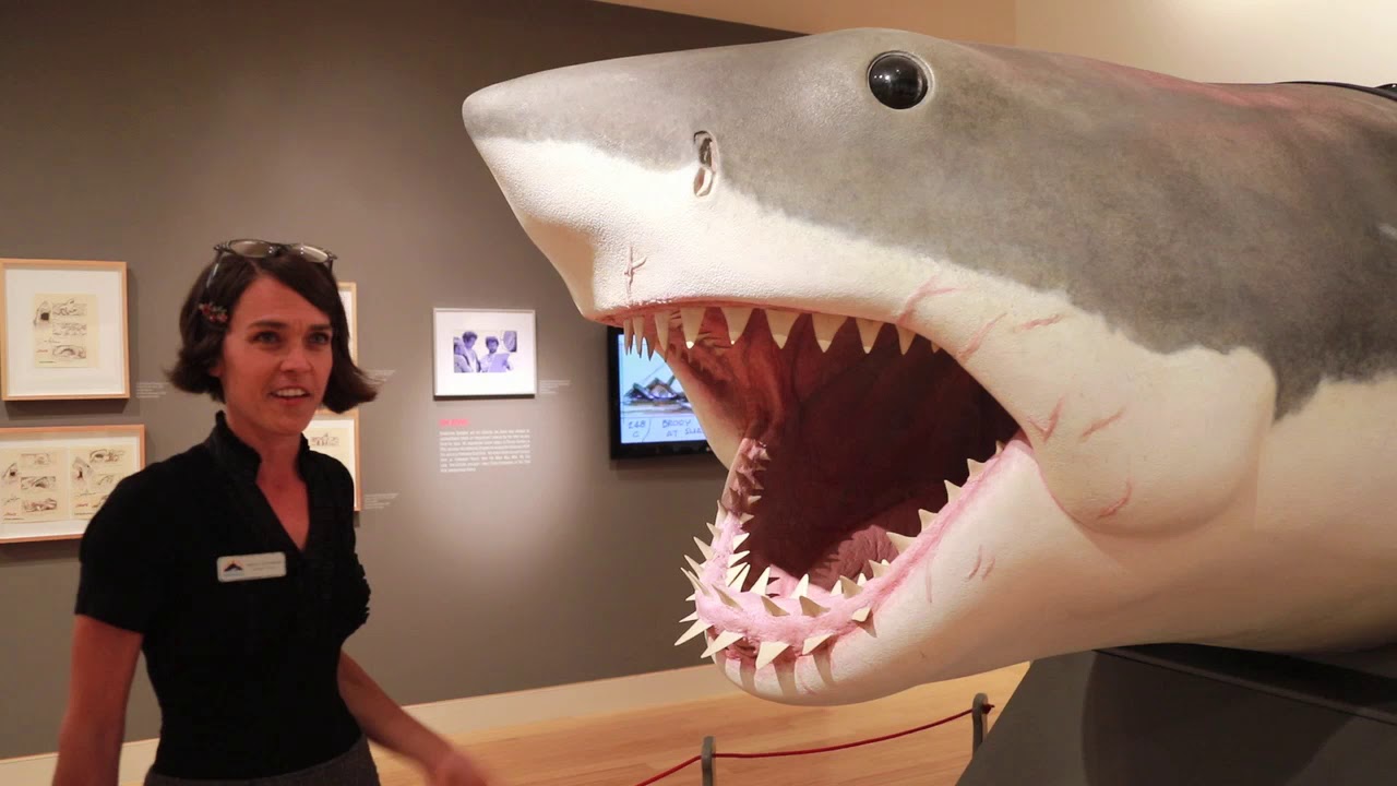 JAWS: THE ART OF FEAR IN FILMMAKING - YouTube