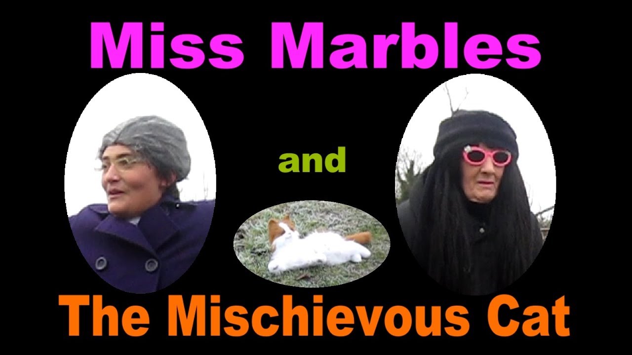 Miss Marbles and the Mischievous Cat - YouTube