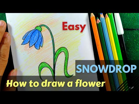 How to Draw a Snowdrop flower easy for Kids step by step | Snowdrop ...