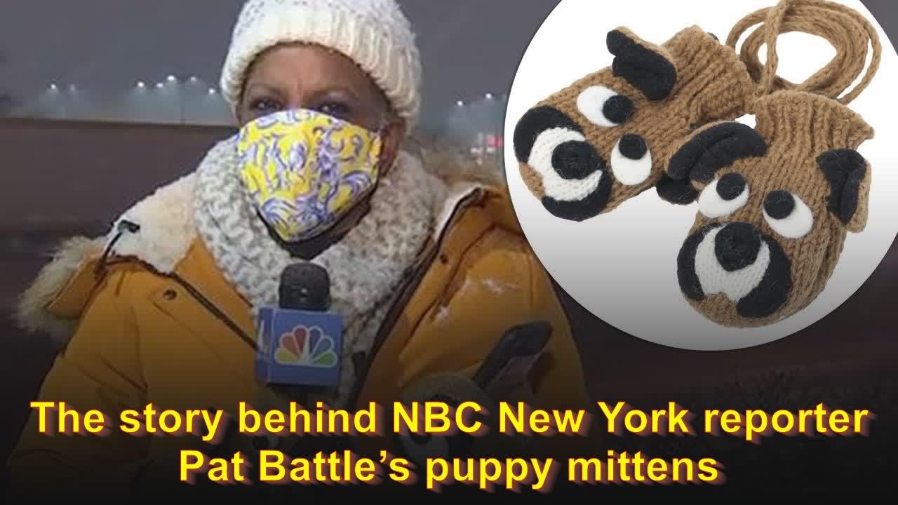 The story behind NBC New York reporter Pat Battle’s puppy mittens - YouTube