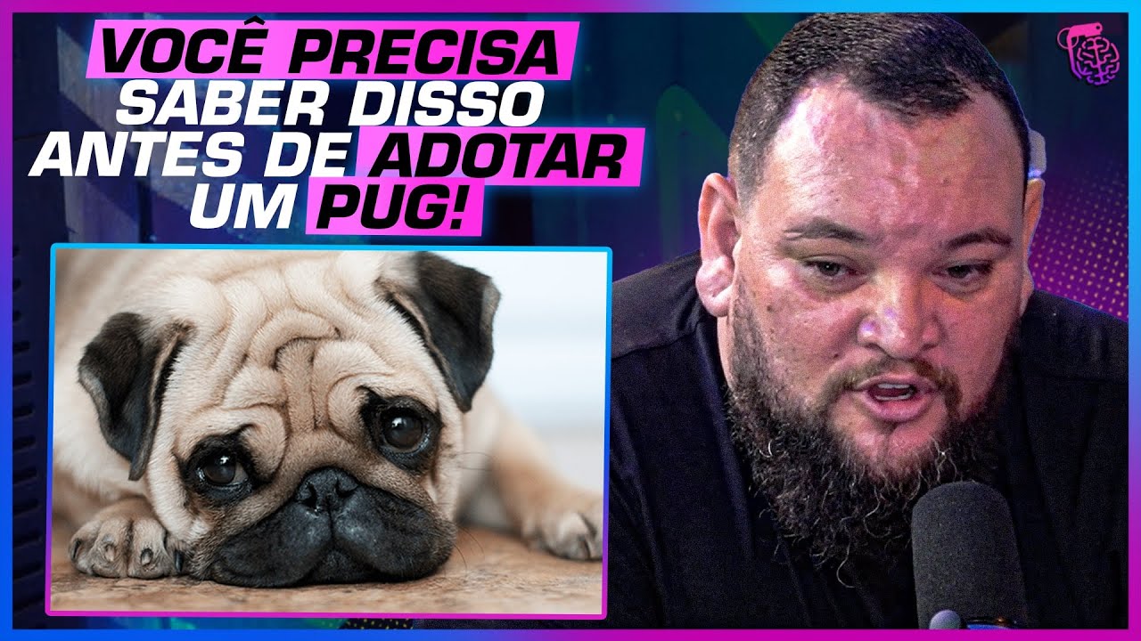 VALE a PENA ter um PUG? A VERDADE sobre ESSE CACHORRO - YouTube