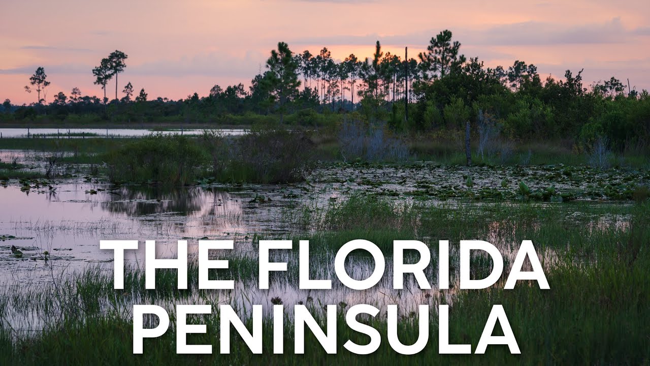 AquaTerra NATURE DOC - The Florida Peninsula [Trailer] - YouTube