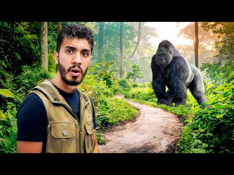ENCONTREI os ÚLTIMOS GORILAS SELVAGENS do MUNDO 🦍