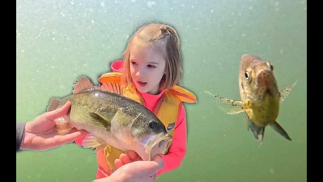 Catching a Boatload of Fish (Crappies, Bass and Bluegill Tips and ...