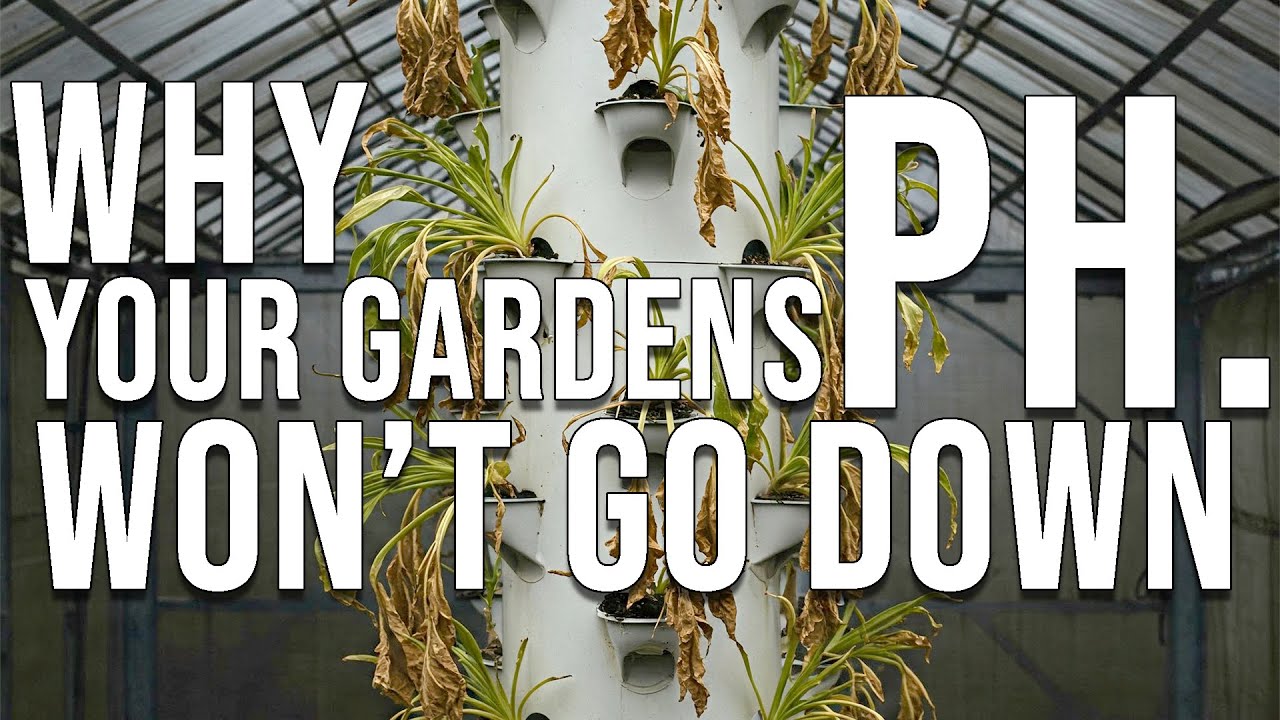 The Most Common Reason Hydroponic Gardens FAIL! Troubleshooting Tower ...