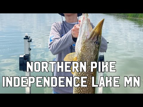 Cooking a Northern Pike Fish from Independence Lake MN - YouTube