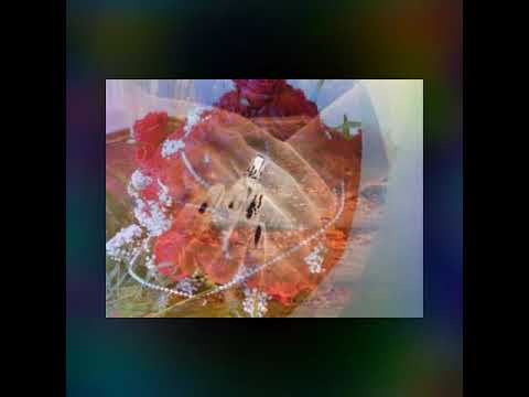 Sevgilim bu ürəy sevməz birini səndən başqa