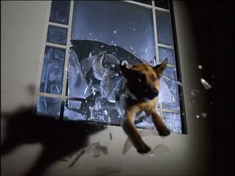 Rex chien flic - Générique Saisons 4 & 5 - YouTube