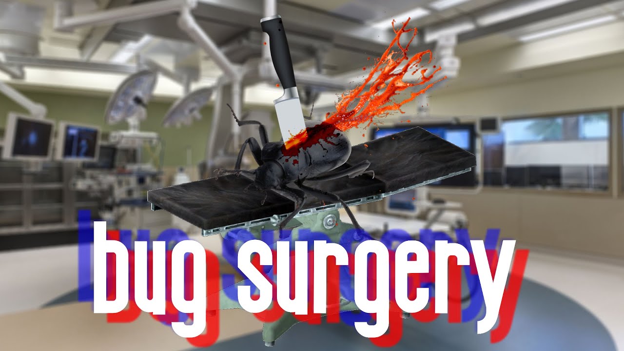 bug surgery - YouTube