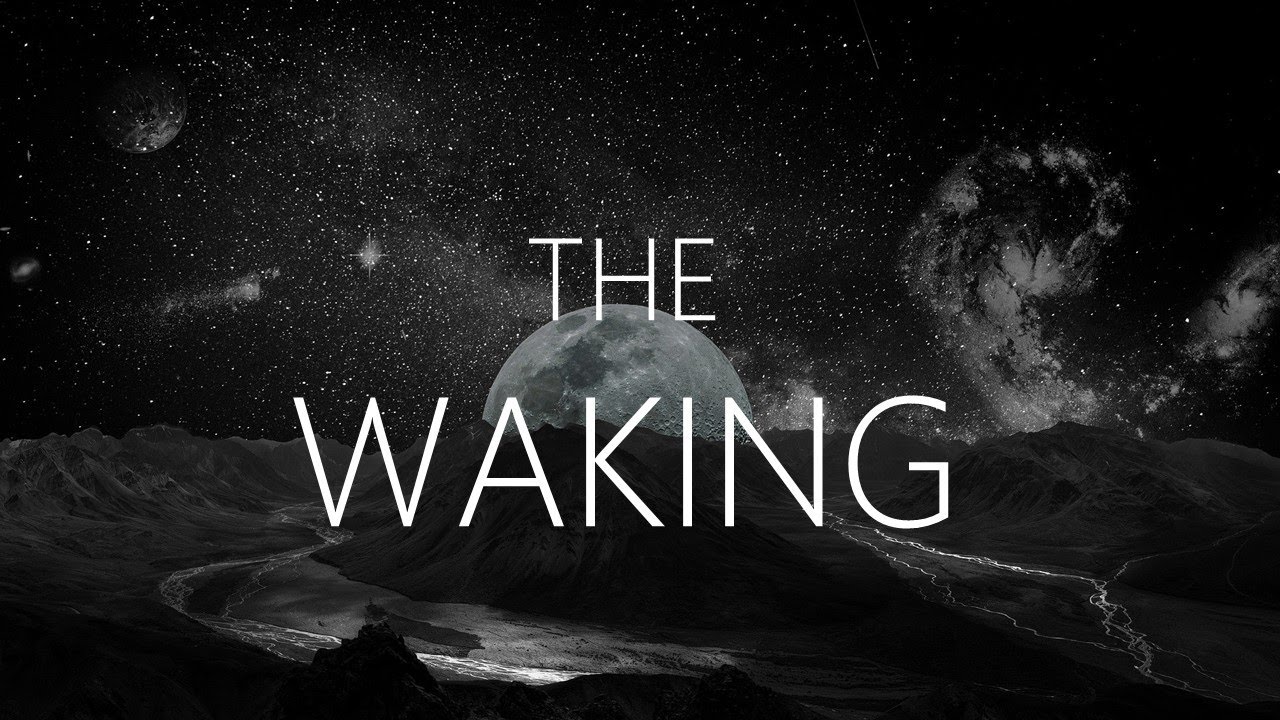 I wake to sleep, and take my waking slow - The Waking by Theodore ...