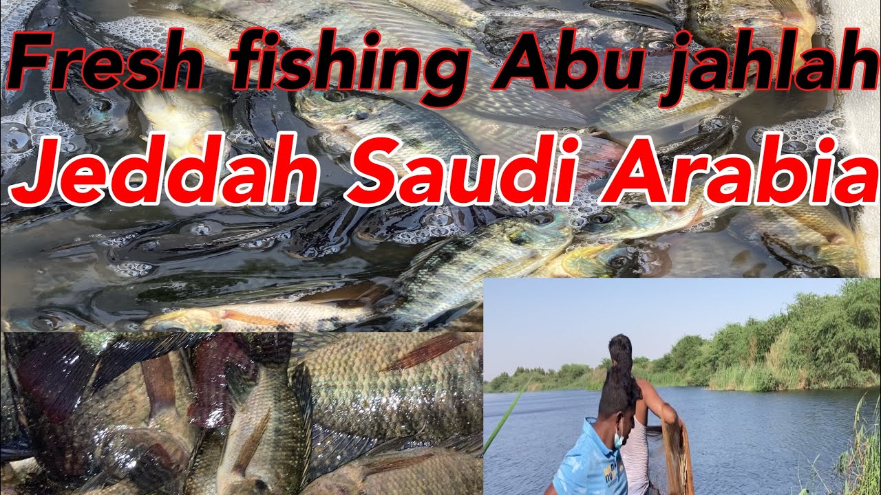 Fresh fishing Jeddah - YouTube