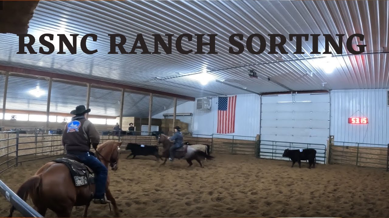 RSNC Ranch Sorting Series | TGF Ranch - YouTube